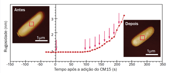 Dimension FastScan Bio | BioAFM | Essencis Technologies